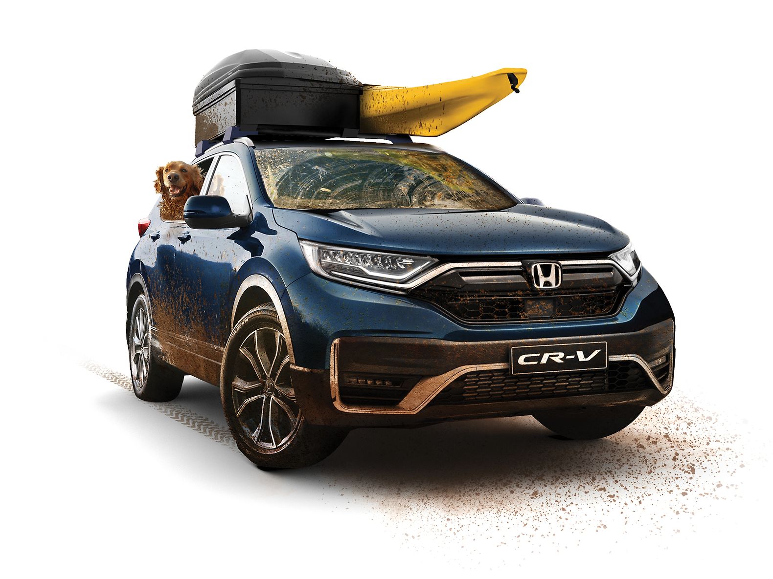 Honda Premier Class | Honda Used Cars